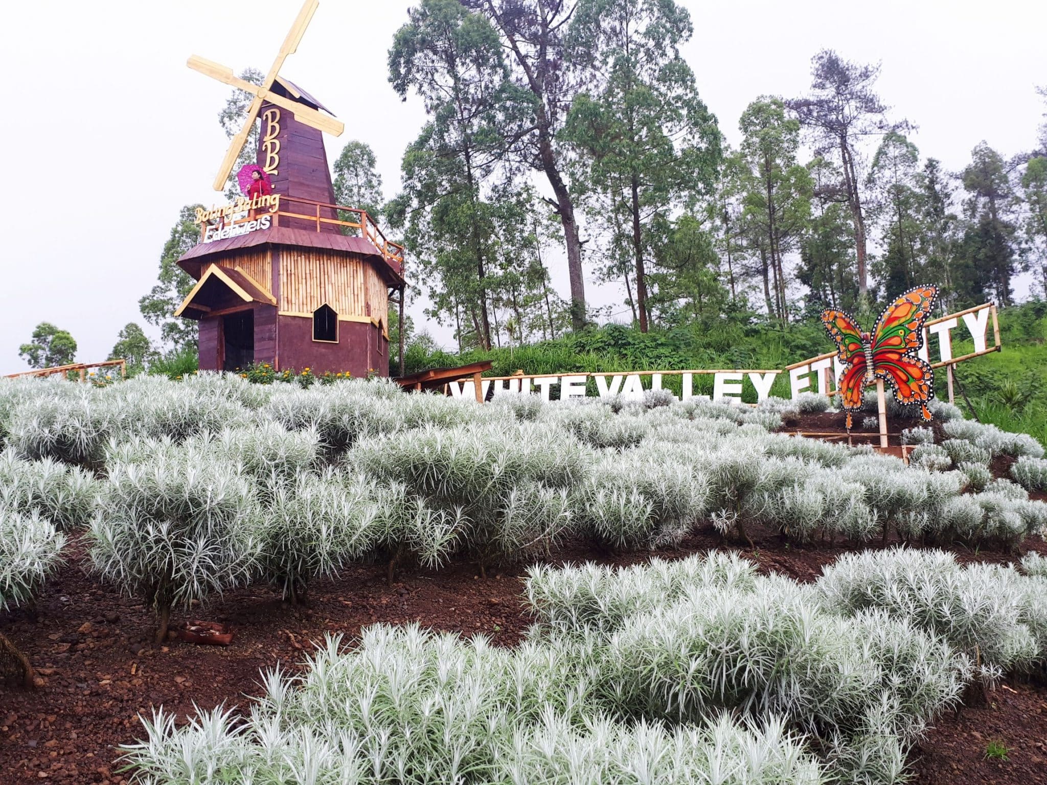 Wow, Ini 8 Tempat Wisata Bali Mirip Luar Negeri yang Wajib Dikunjungi